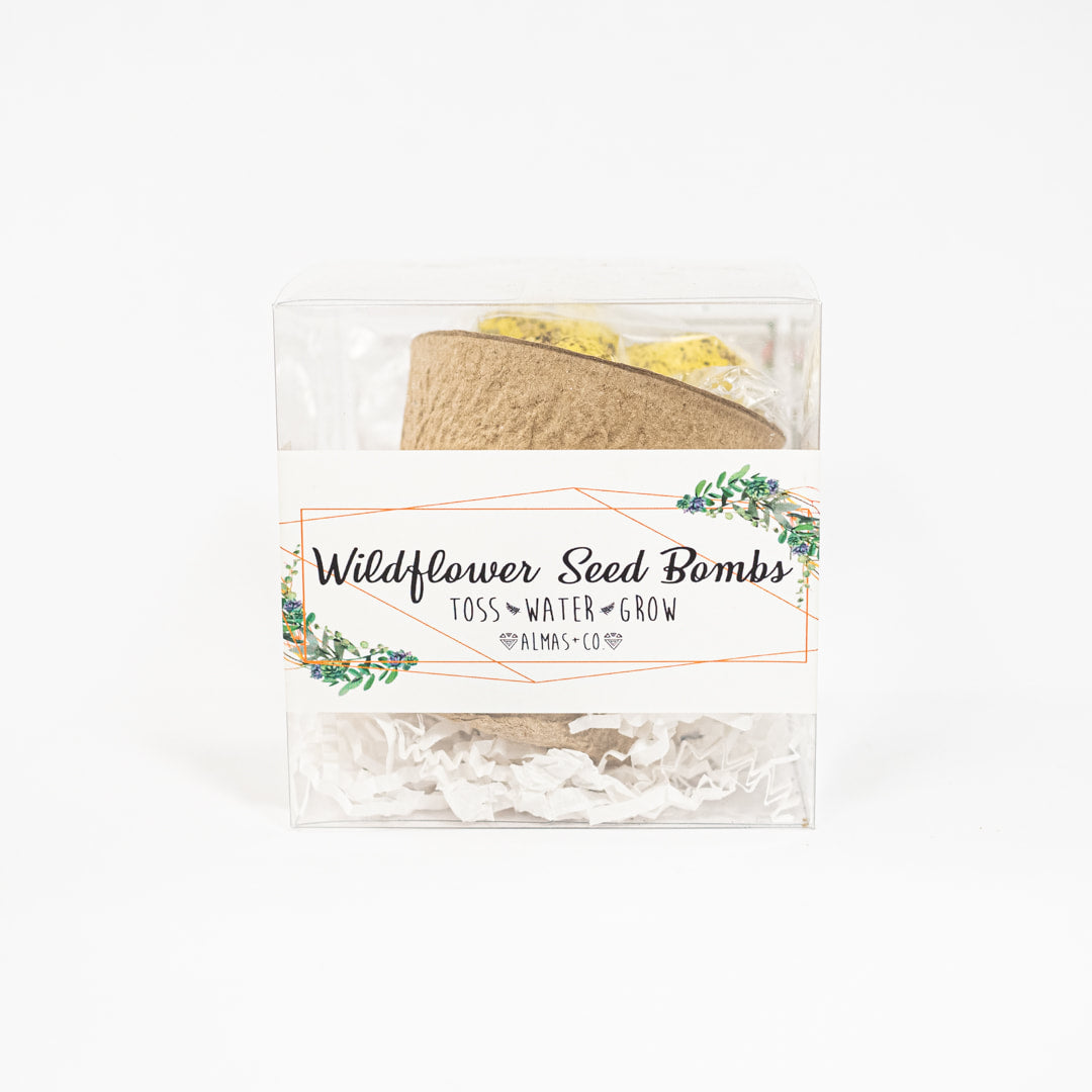 Wildflower Seed Bomb Starter Box | Reynolds Makery & Pulperia